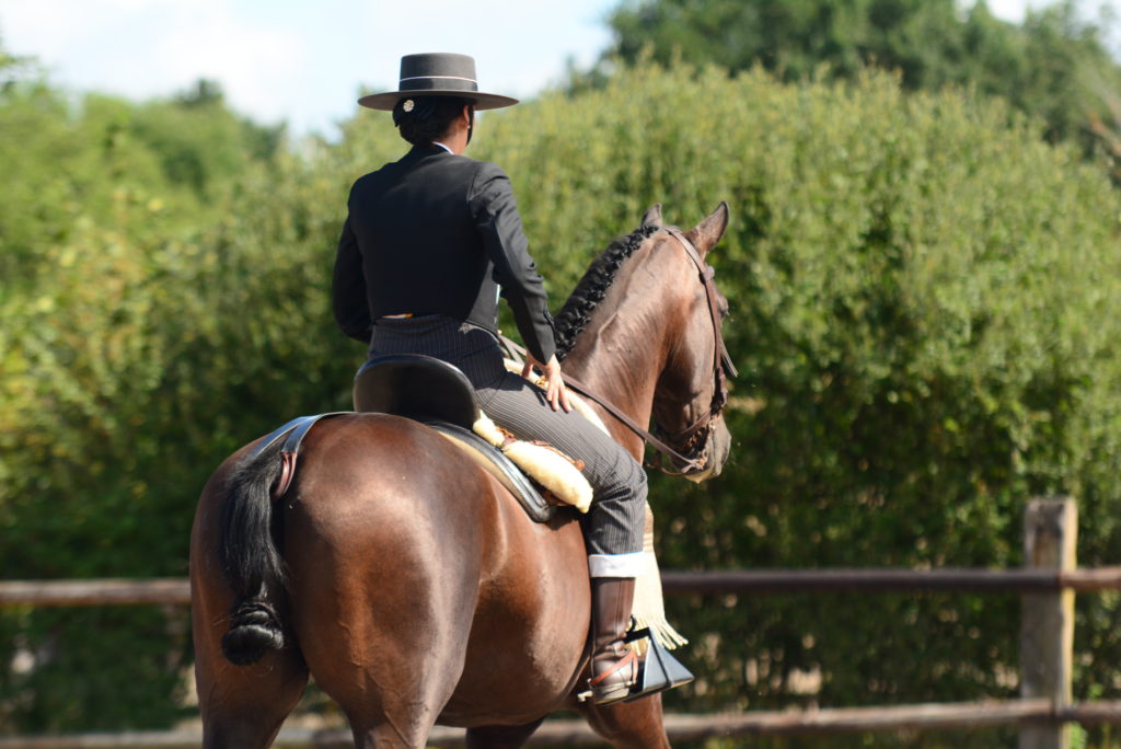 FITE-NET - Une étape de la Coupe d'Europe d'équitation de travail à ...
